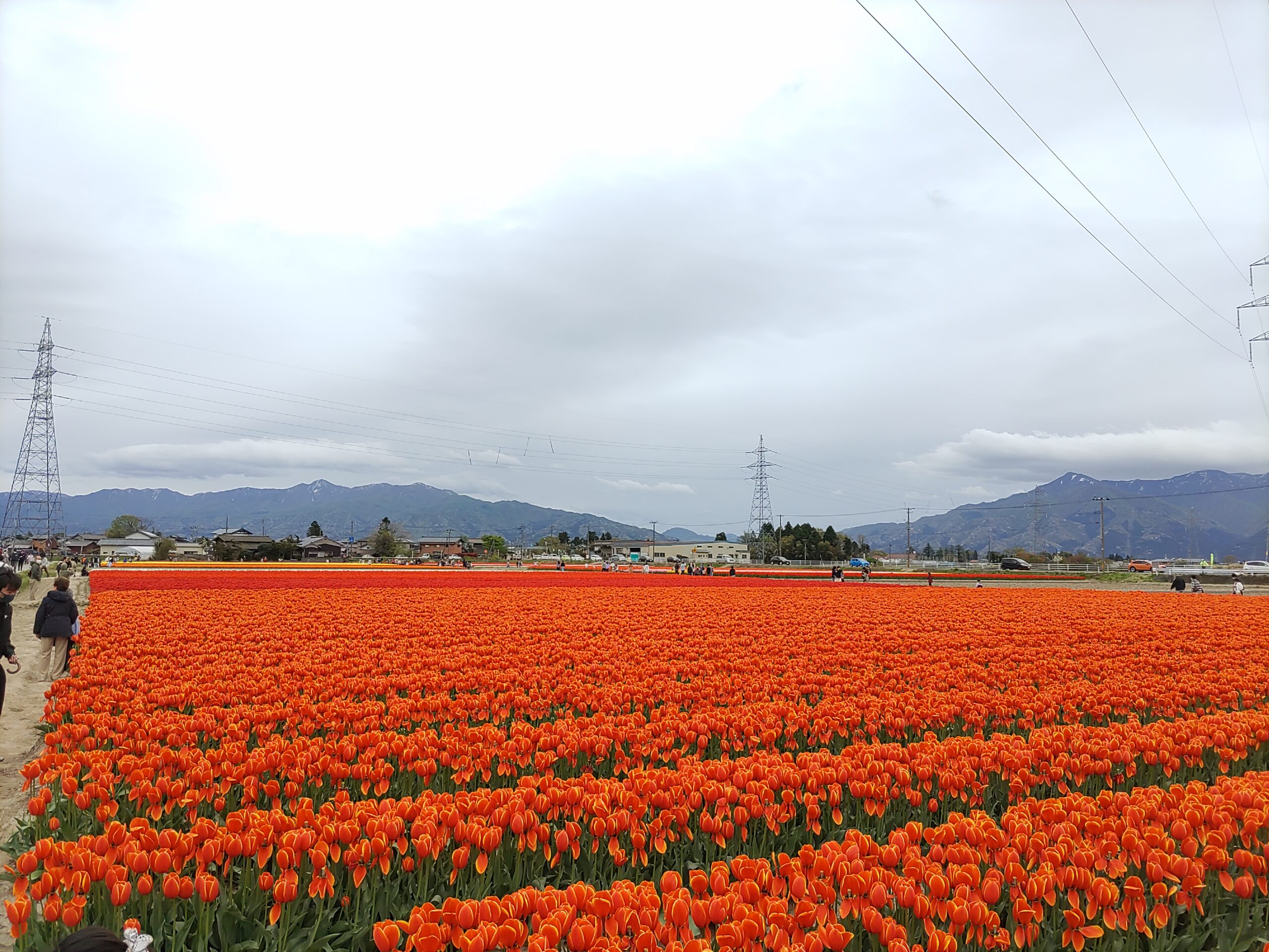 IMG_20230415_144910 | 国内・海外旅行予約 、旅館・ホテル、個人旅行･団体旅行は新潟トラベル